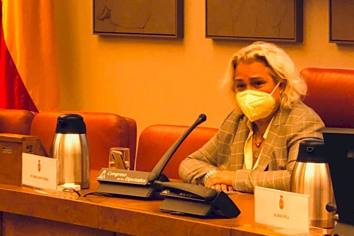 La portavoz adjunta del PP, María José Ferrer San Segundo, defiende el ...